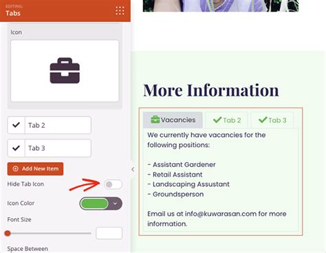 How To Create Tabs In Wordpress For Stunning Tabbed Content