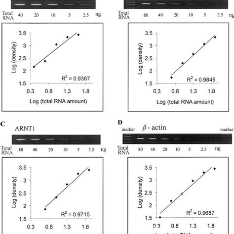 Pcr Reactions And Linear Regression At The Pcr Conditions Selected A
