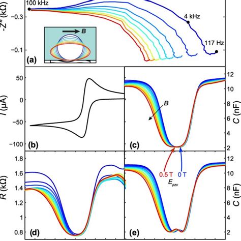 PDF Influence Of A Magnetic Field On The Electrochemical Double Layer