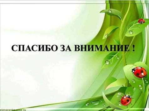 Животные и растения Белгородской области помещенные в Красную книгу презентация онлайн