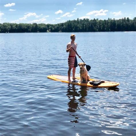 Nick Nickdary Twitter