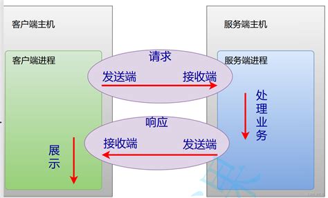 【网络编程】网络套接字，udp，tcp套接字编程使用基本的套接字编程技术以一对基本的tcp协议通信程序为基础模拟比特洪流bitt Csdn博客