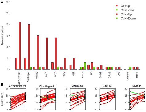 Read Coverage Signal Maps And Exon Intron Structure Of Long Non Coding