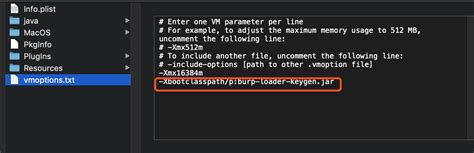 windowsandmacandkali linux破解burpsuite的方法。 走看看