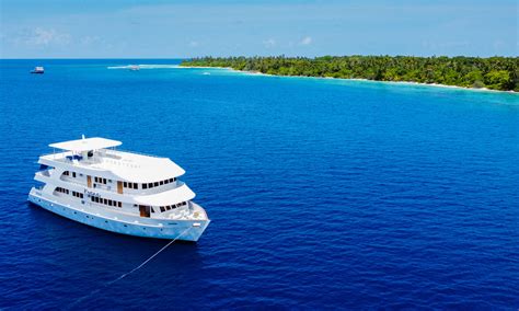 Maldives Surf Charters Perfect Wave Travel