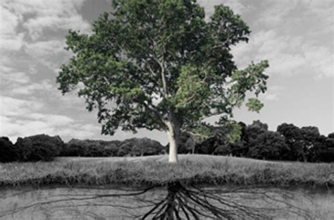 5 Whys Quickly Getting To The Root Of A Problem Dropjaw Ventures