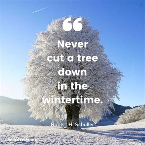 39 Inspirational Tree Quotes Adages About Life Business Love