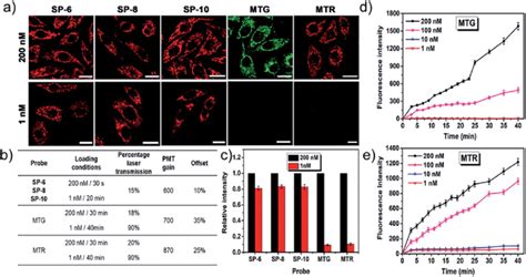 Comparative Lscm Images A Corresponding Imaging Parameters B And Download Scientific