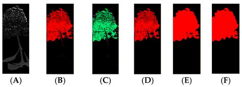 Design Of And Experiment With Seedling Selection System For Automatic Transplanter For Vegetable