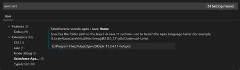 Salesforce Apex Replay Debugger Is Throwing Java 8 Is Required To Run Stack Overflow