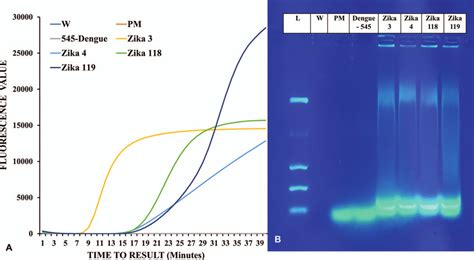 A Reverse Transcription Loop Mediated Isothermal Amplification Plot