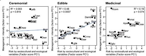 Relation Between Management Intensity And Risk Regression Analysis Of