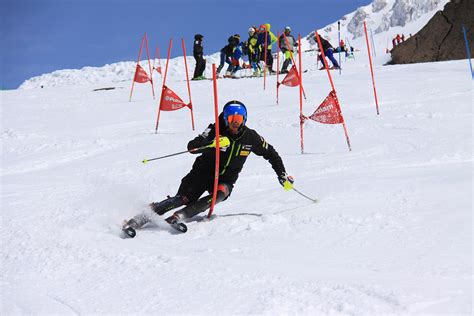 Slalom Skier