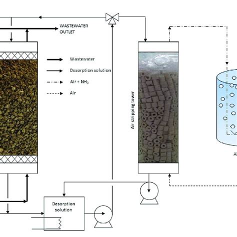 Schematic Diagram Of The Experimental Model Download Scientific Diagram