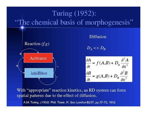 Diffusion Reaction And Biological Pattern Formation