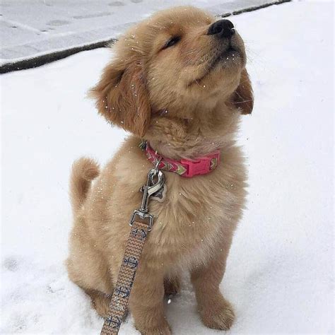Aww Shes So Cute 😍 R Aww