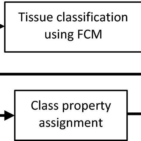 Tissue Classification Process For Synthetic Ct Generation Download