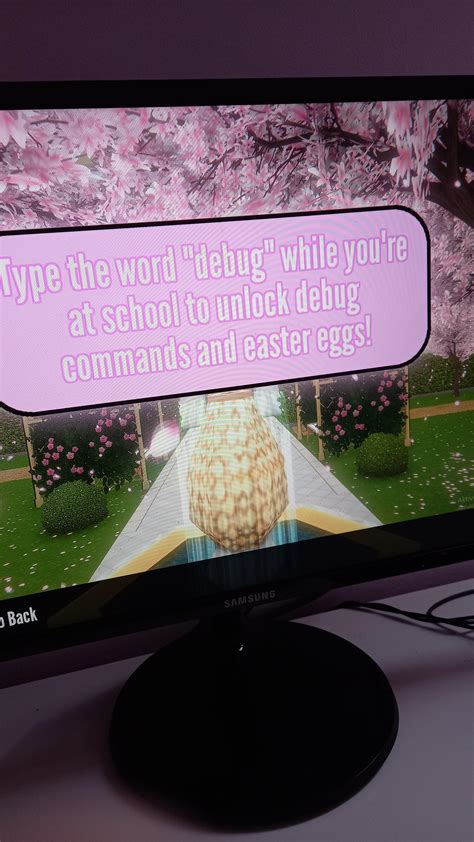 How Do I Fix This How To Type Debug While At Babe R Yandere Simulator