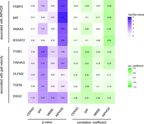 Heatmap Of The Top Nine Biomarker Candidates Summarizing Analyses Download Scientific Diagram