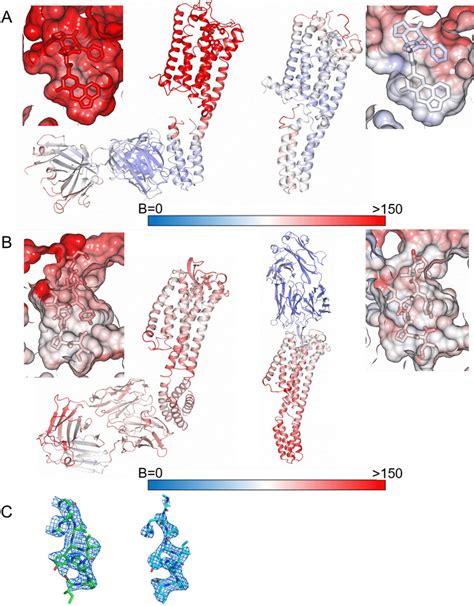 B Factor Analysis And Comparison Of The Ligand Electron Density Maps