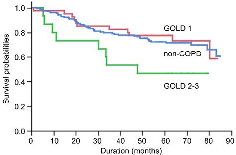 Survival Of Patients Based On Gold Classification Download