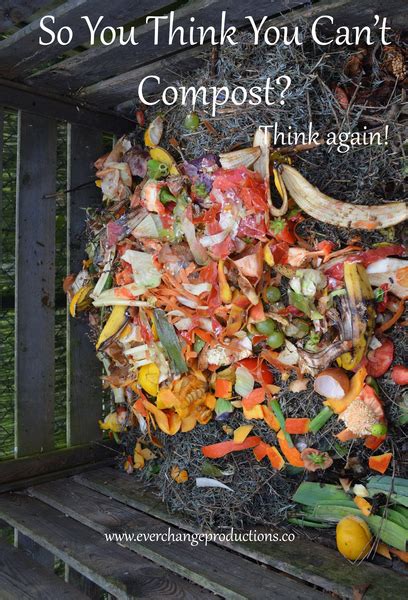 Worm Composting Common Problems And Solutions Artofit