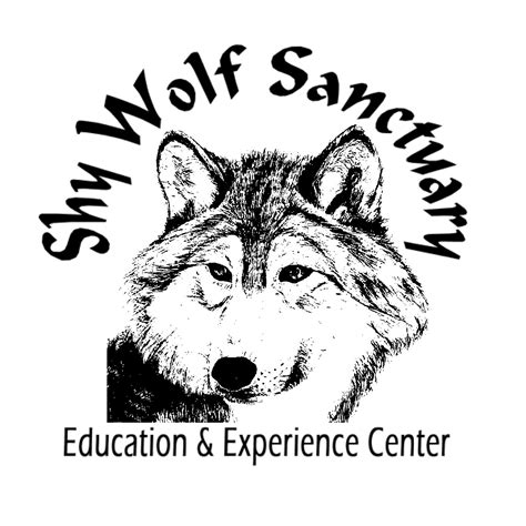 Sws Logo Mod 001 Native Visions Art Gallery In Naples And Palm Beach