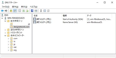 configure wildcard dns on windows server designetwork en