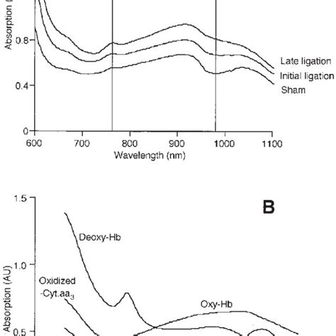 A Representative NIR Spectra Min After OA Administration
