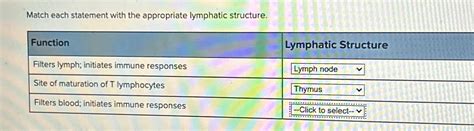 Solved Match Each Statement With The Appropriate Lymphatic