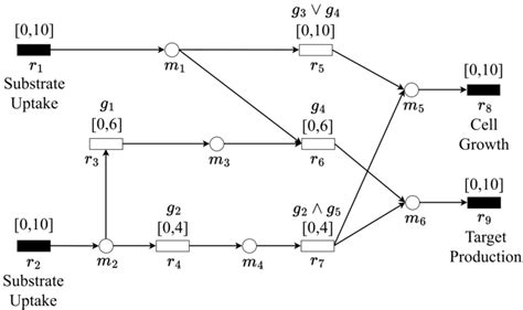 논문 리뷰 Deepgdel Deep Learning Based Gene Deletion Prediction
