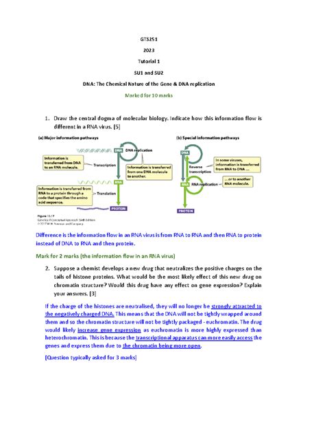 GTS 251 Tutorial 1 SU1 2 2023 MEMO GTS 2023 Tutorial 1 SU1 And SU DNA The Chemical Nature Of