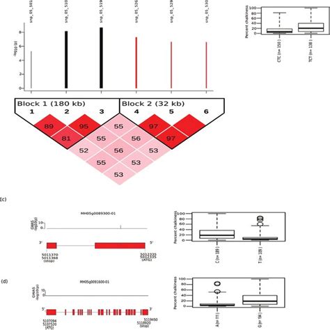 Single Locus Gwas For Percentage Grain Chalkiness Pgc Identified A