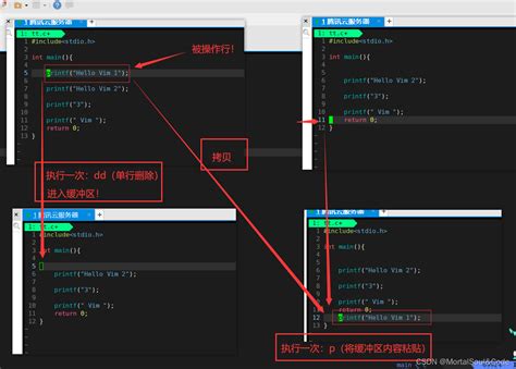 Linux Vim 编辑器：详解：文本复制粘贴剪切删除 与 撤销普通操作及撤销撤销操作vim 撤销 Csdn博客