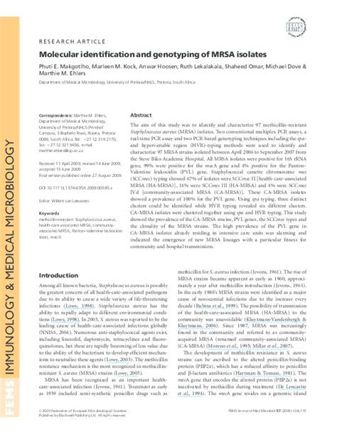 Pdf Molecular Identification And Genotyping Of Mrsa Isolates