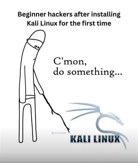Installing Kali Linux ≠ Instant Hacking Skills 😂 Via Cyber Press ® Cyber Press ® 57 Comments