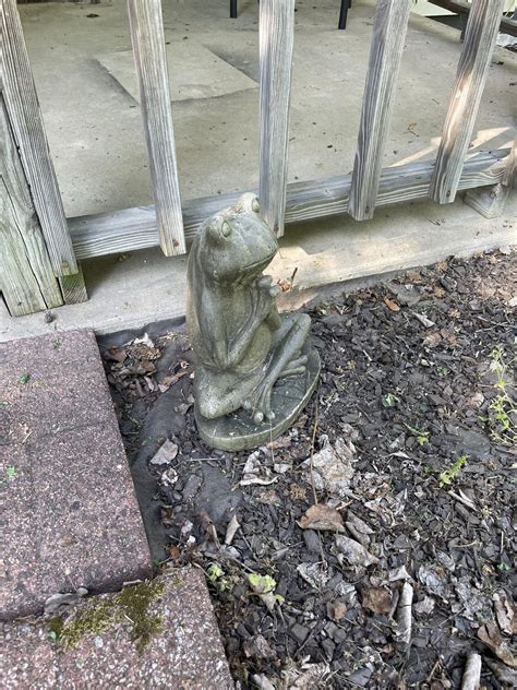 Find The Toad Easy R Findthesniper