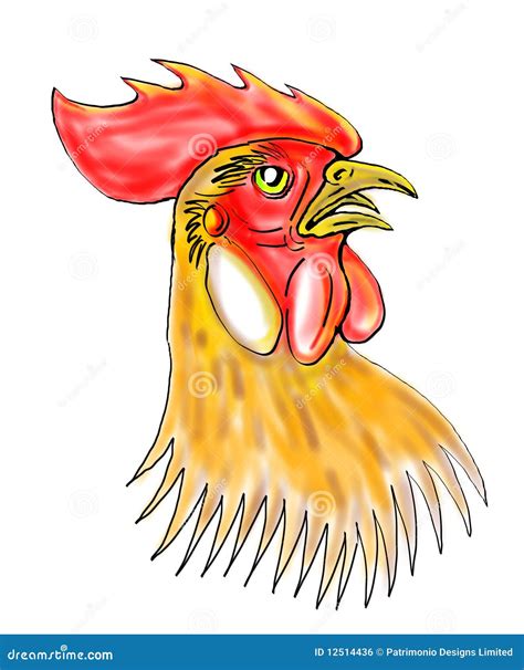 Cockerel Head Ink Drawing Royalty Free Cartoon