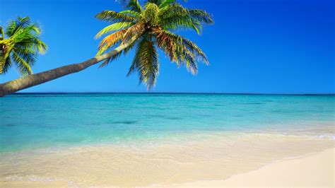 Luna De Miel En El Caribe Los Mejores Destinos Los Viajes De Sof A