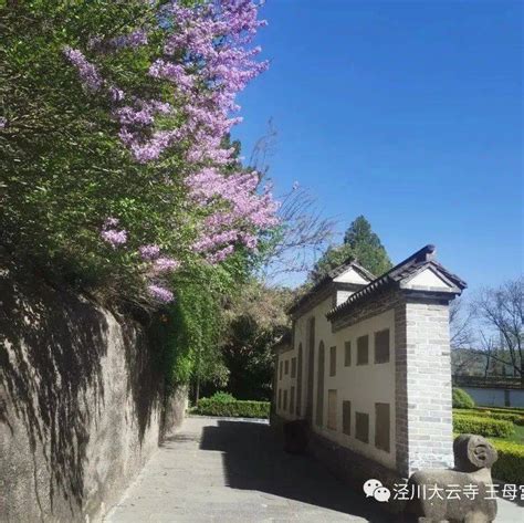 诗韵陇原长安畿辅 襟要泾川 文化 石窟 西王母