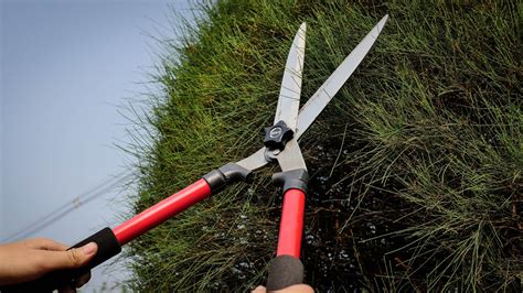 คู่มือการเลือก กรรไกรตัดหญ้า ที่ดีที่สุด สำหรับการตัดแต่งของคุณ Toolmartonline Tmo