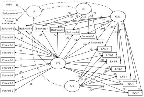 Modeling Working Memory Tasks On The Item Level Pmc