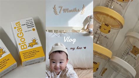 Vlog 7개월 원더윅스와 이앓이🦷 젖물잠 끊기 7개월아기 발달사항 바이오가이가 유산균추천 수유량 혼합수유 휴비딕