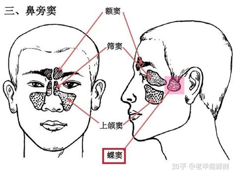 喝下那英的魔法药水让你学会蝶窦共鸣 知乎