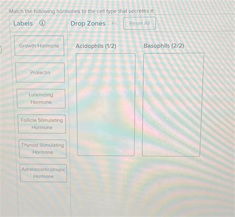 Solved Match The Following Hormones To The Cell Type That Chegg