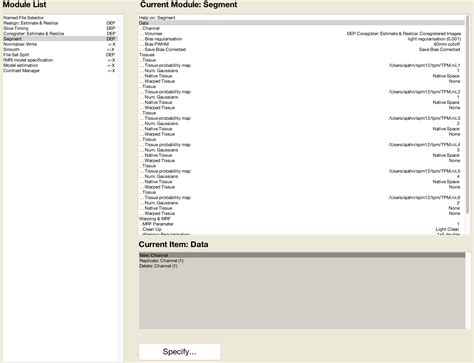 SPM Tutorial Scripting Andy S Brain Book Documentation