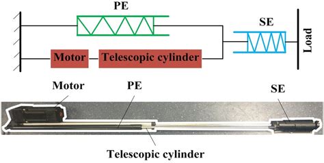 Series Parallel Elastic Actuator Of Palexo Download Scientific Diagram