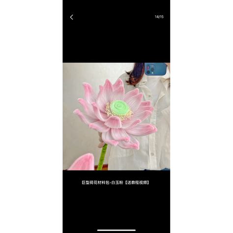 Hoa Sen Khổng Lồ Shopee Việt Nam