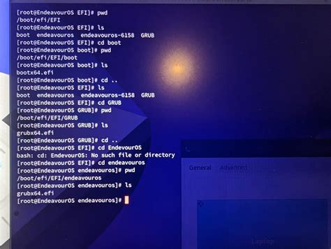 Grub Missing All Boot Entries But UEFI Firmware Settings After Update Solved Newbie