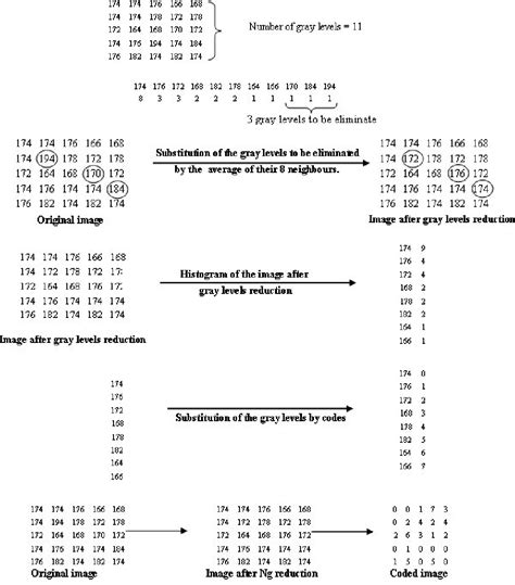 figure 3 from microcalcifications detection in mammographic images